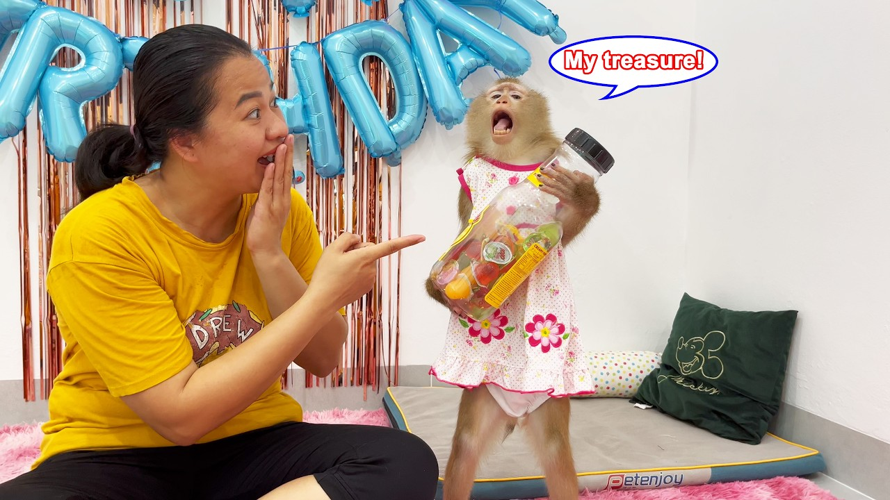 How Quick-Witted! Monkey Lyly Cleverly Filled Her Snack Container ...