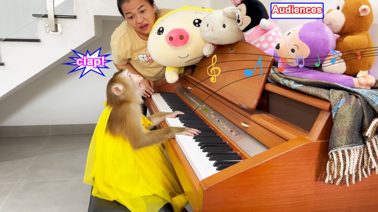 So talented! Monkey Lyly invites the audience to come and see her ...
