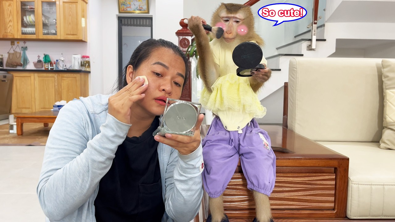 MOnkey LYLY imitates her mother putting on makeup before going to the ...