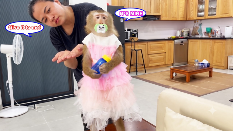 LYLY accidentally discovers that her mother has hidden her favorite toy ...